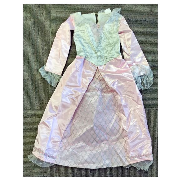 Rubie's | Costumes | Shrek Princesses Cinderella Costume Child Sm 46 ...